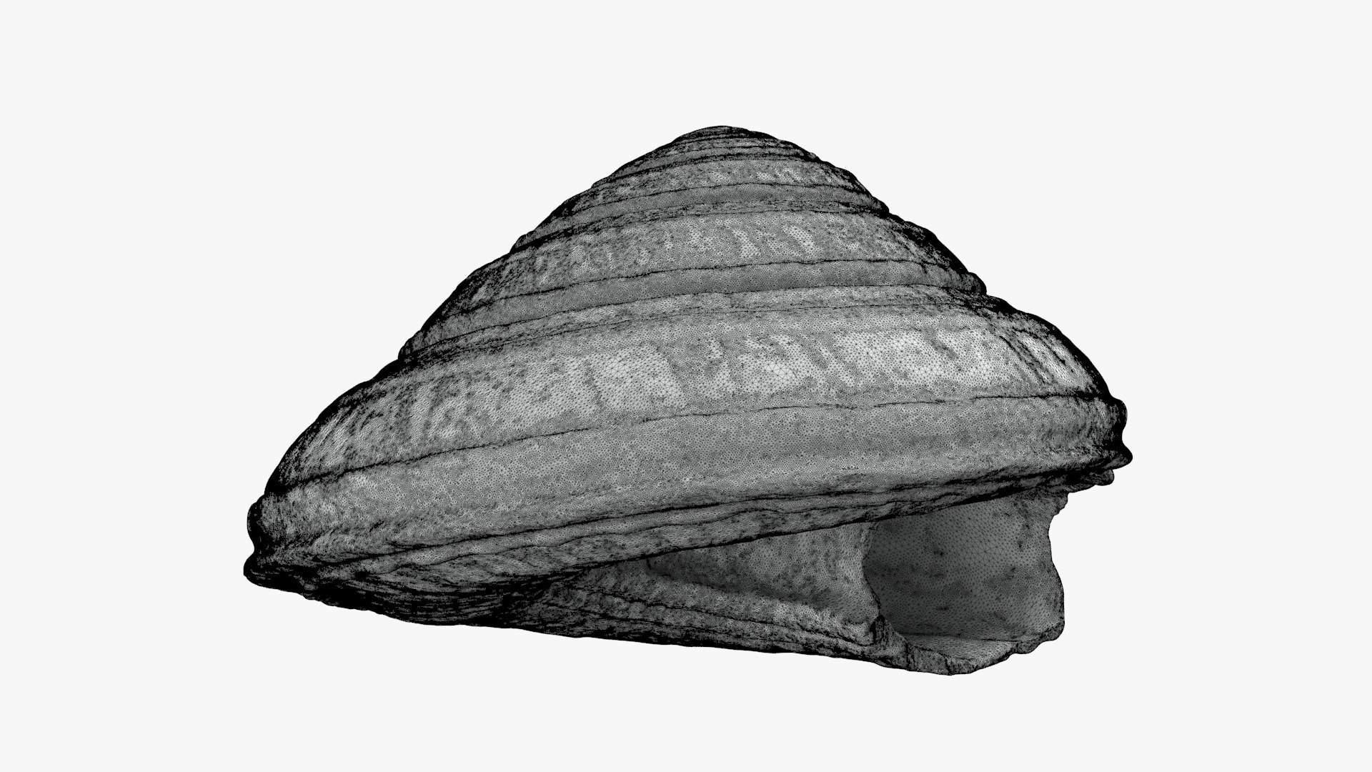 Architectonica Perspectiva For 3D Print Model - TurboSquid 2369814