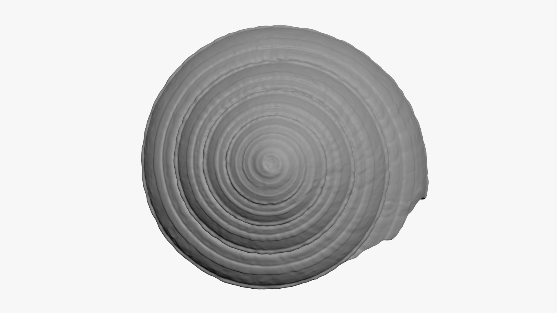 Architectonica Perspectiva For 3D Print Model - TurboSquid 2369814