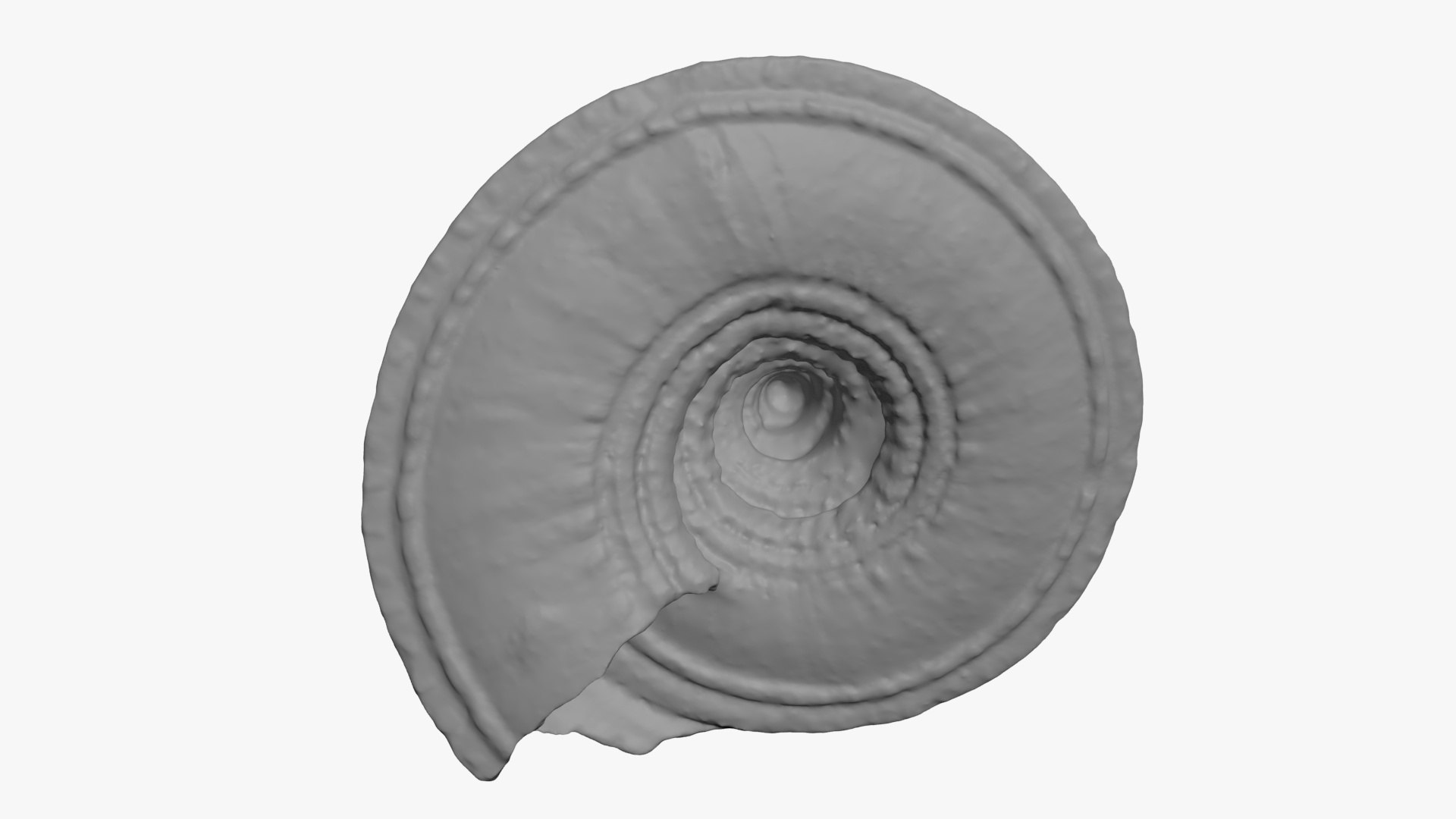 Architectonica Perspectiva For 3D Print Model - TurboSquid 2369814