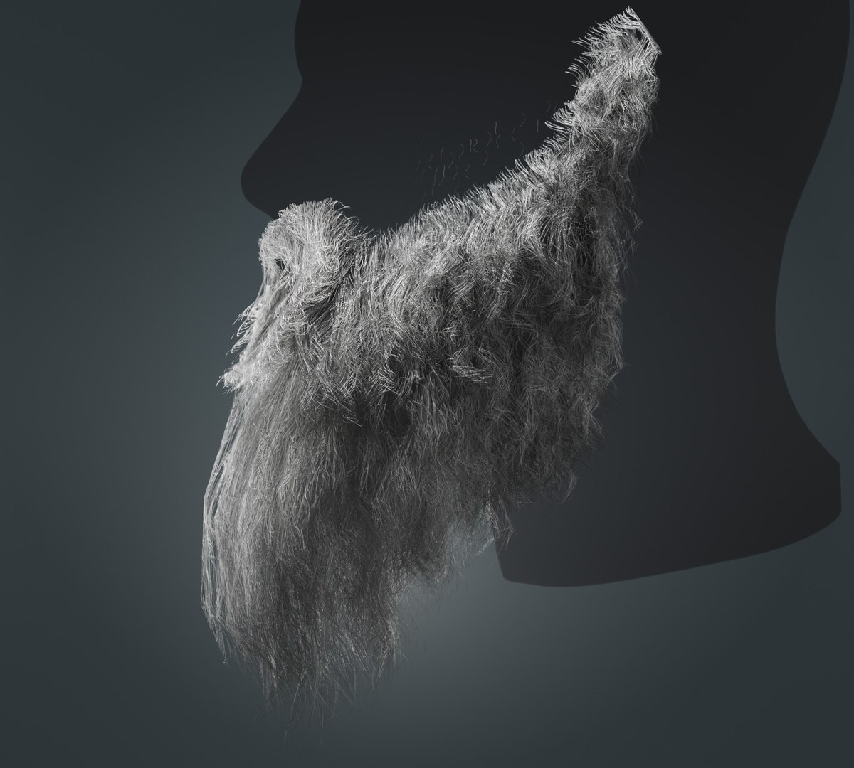 Beard RealTime 20 Version 1 3D Model - TurboSquid 1892399