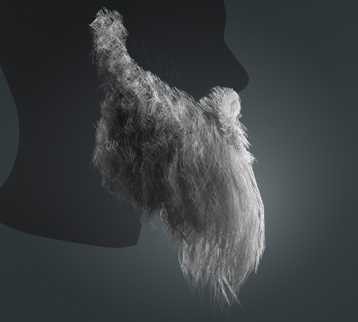 Beard RealTime 20 Version 1 3D Model - TurboSquid 1892399