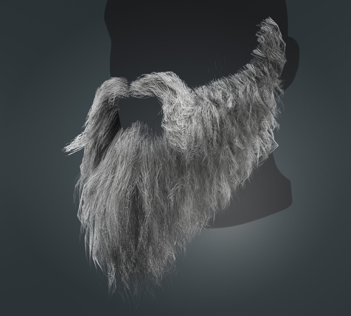 Beard RealTime 20 Version 1 3D Model - TurboSquid 1892399