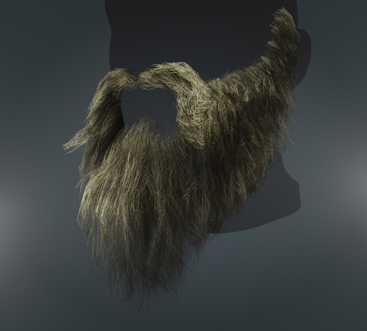Beard RealTime 20 Version 1 3D Model - TurboSquid 1892399