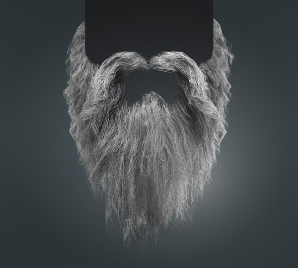3D Beard Models | TurboSquid