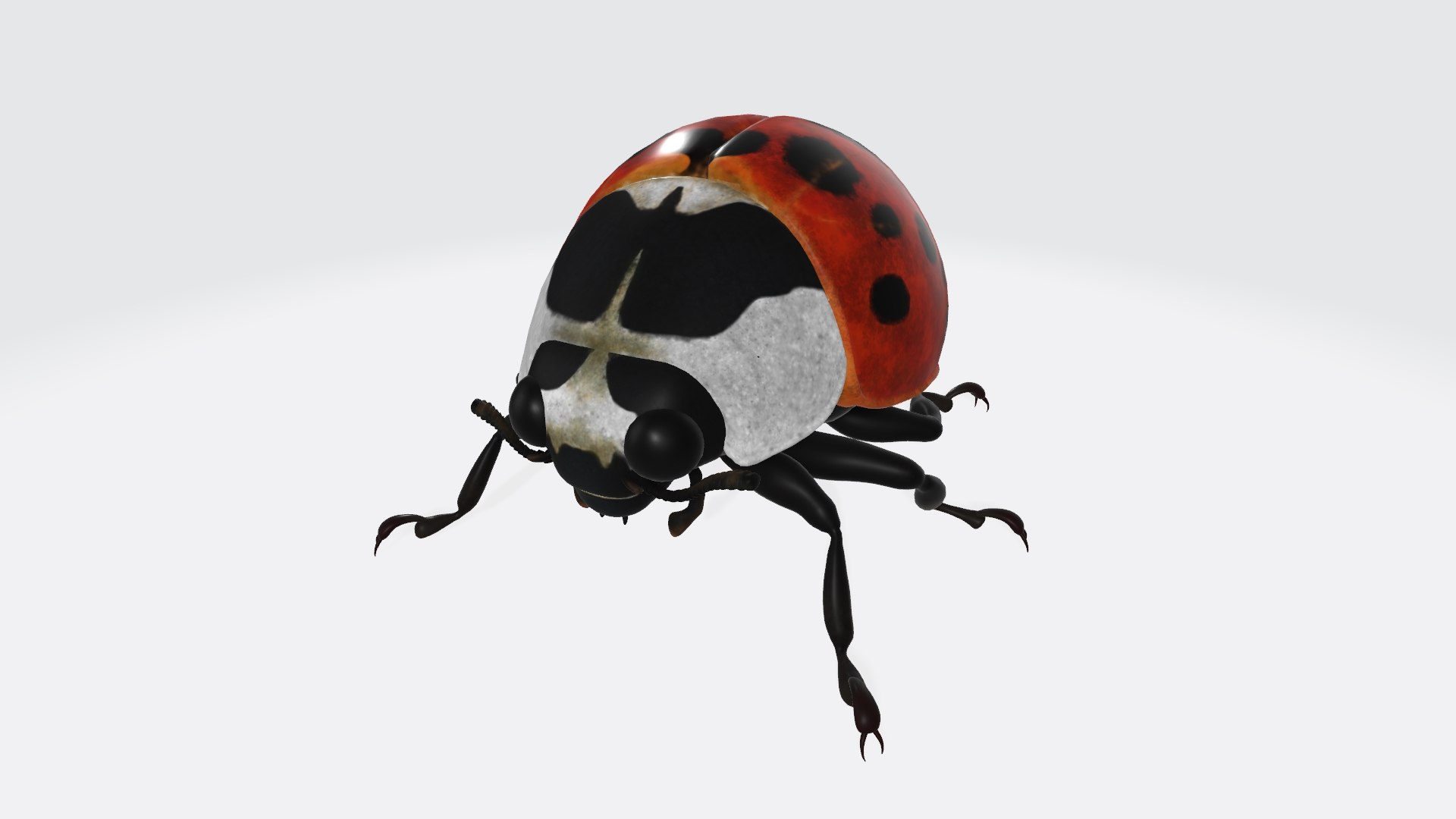 Ladybug Animal 3D Model Ready To Print 3D Model - TurboSquid 2285074