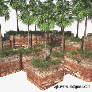 3D Soybean Root Animation - TurboSquid 1858744