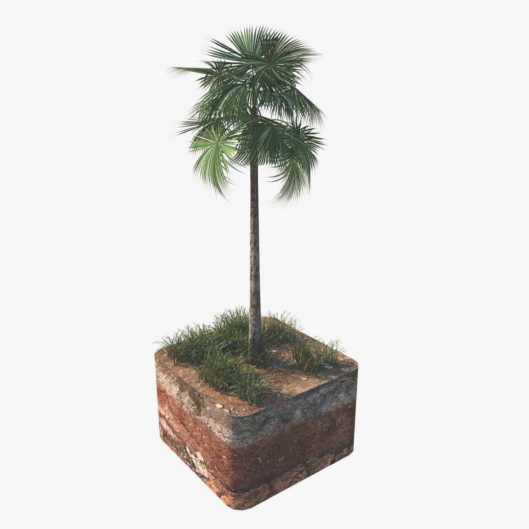 3d Model Tree Landscape