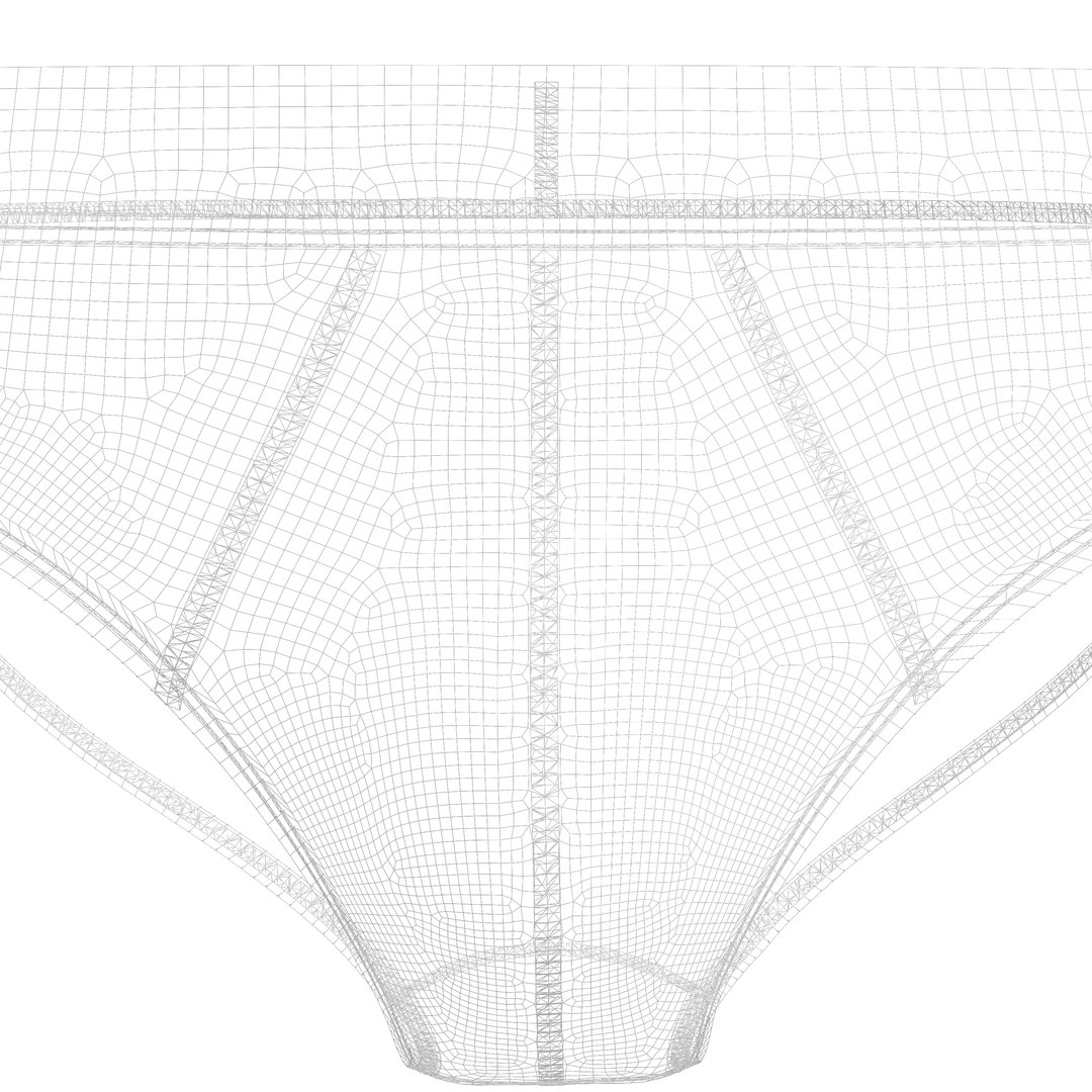 3D Mens Brief 3D Model13421 - TurboSquid 2236414