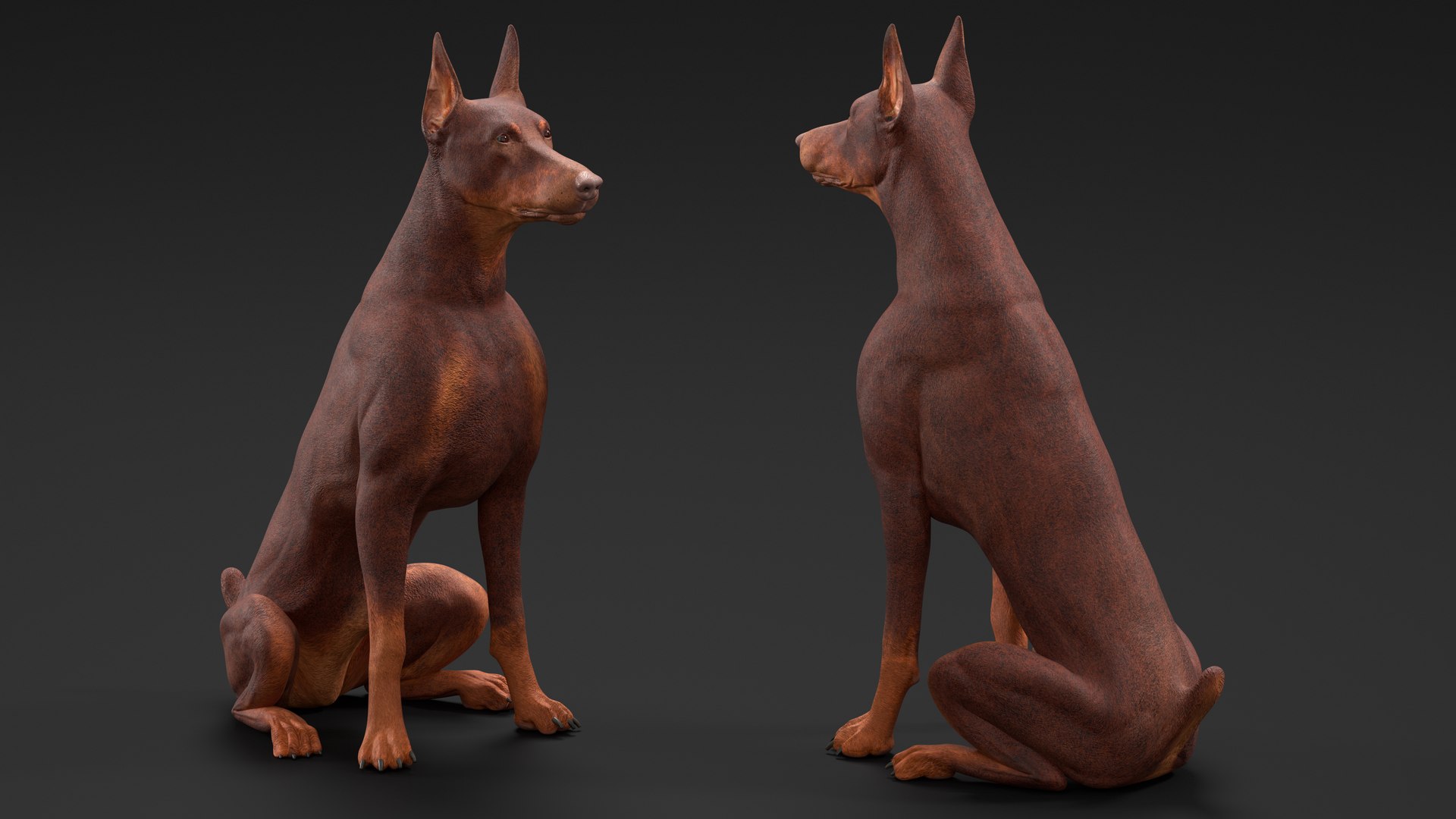 3D Model Doberman Dog Brown Sits - TurboSquid 2232755