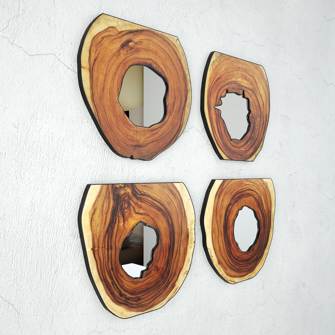 3D Organic Monkey Pod Mirrors 1 - TurboSquid 2124569