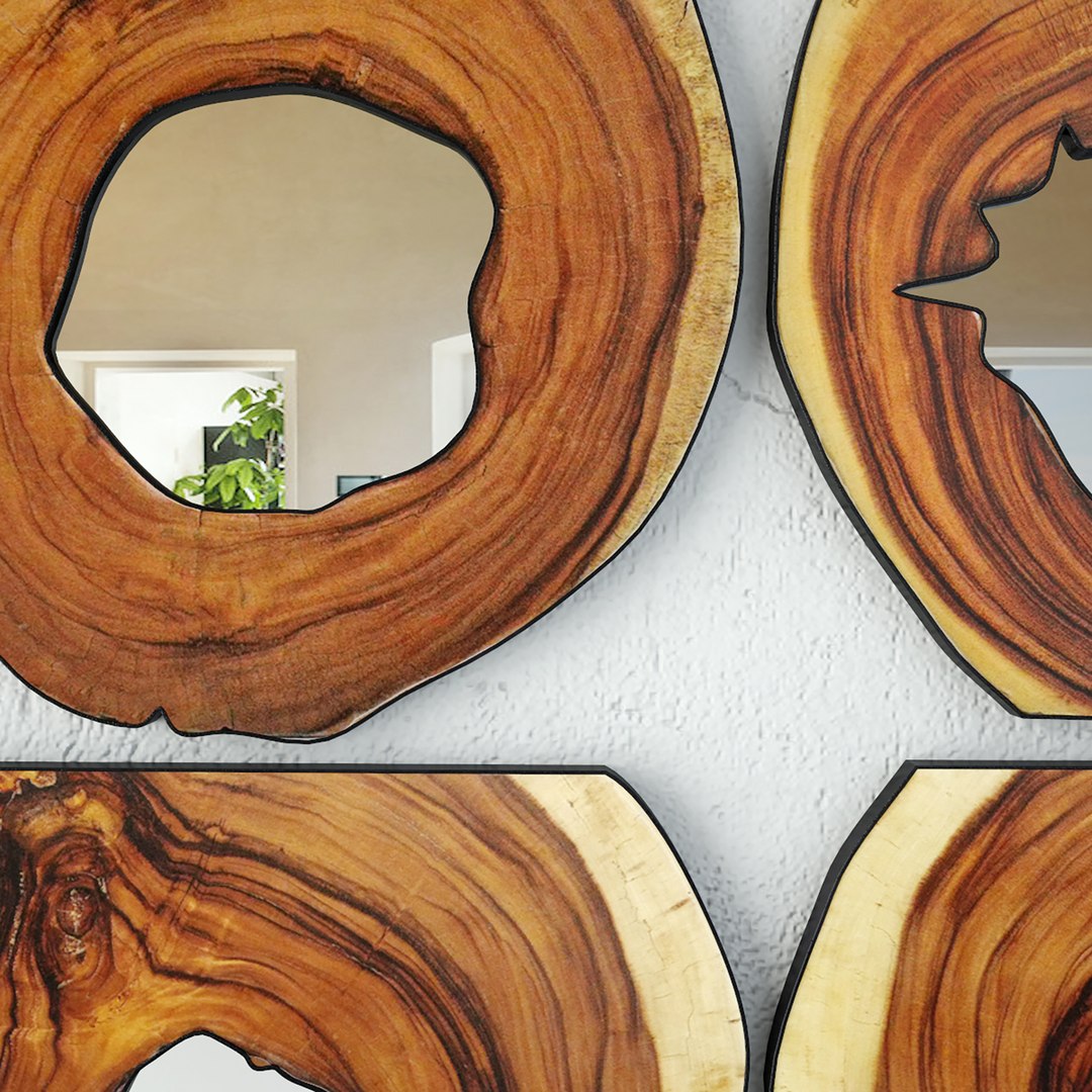 3D Organic Monkey Pod Mirrors 1 - TurboSquid 2124569