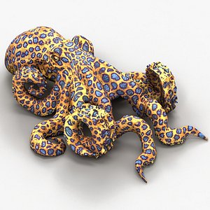 Octopus 3D Models for Download | TurboSquid