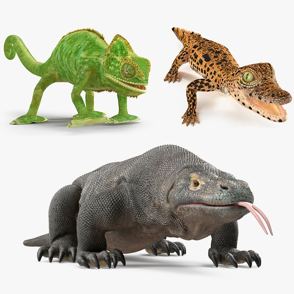 Free 3D Crocodile Models | TurboSquid