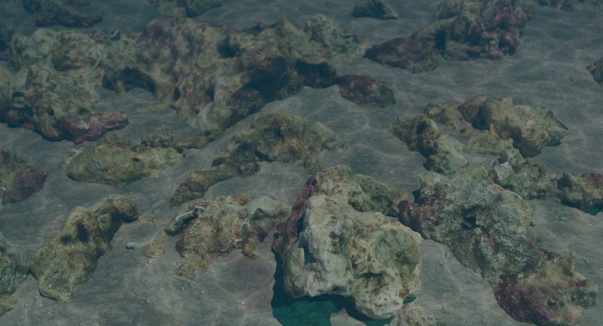 Sea floor 3D model - TurboSquid 1276338