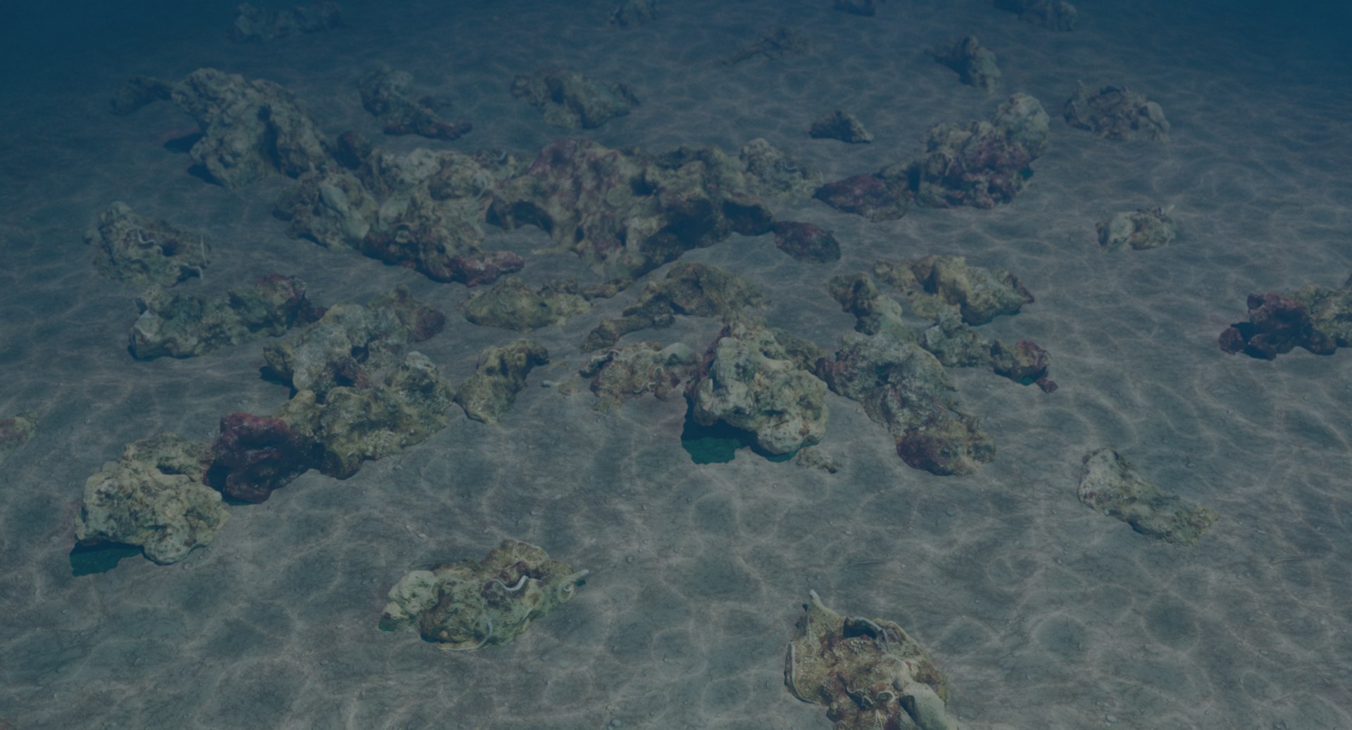 Sea floor 3D model - TurboSquid 1276338