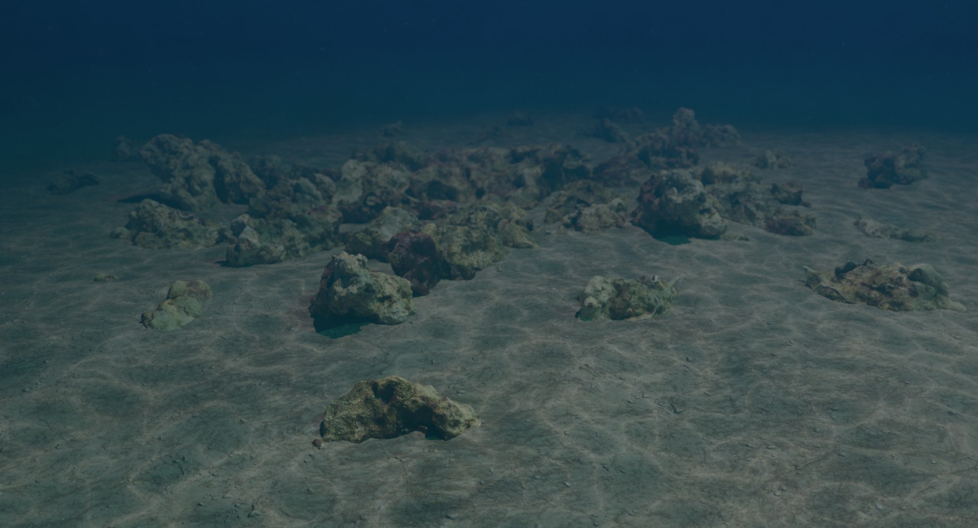 Sea floor 3D model - TurboSquid 1276338