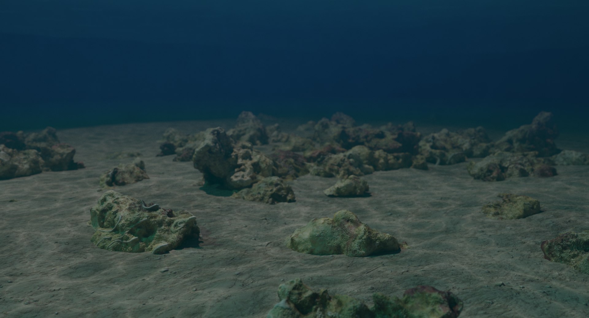 Sea floor 3D model - TurboSquid 1276338