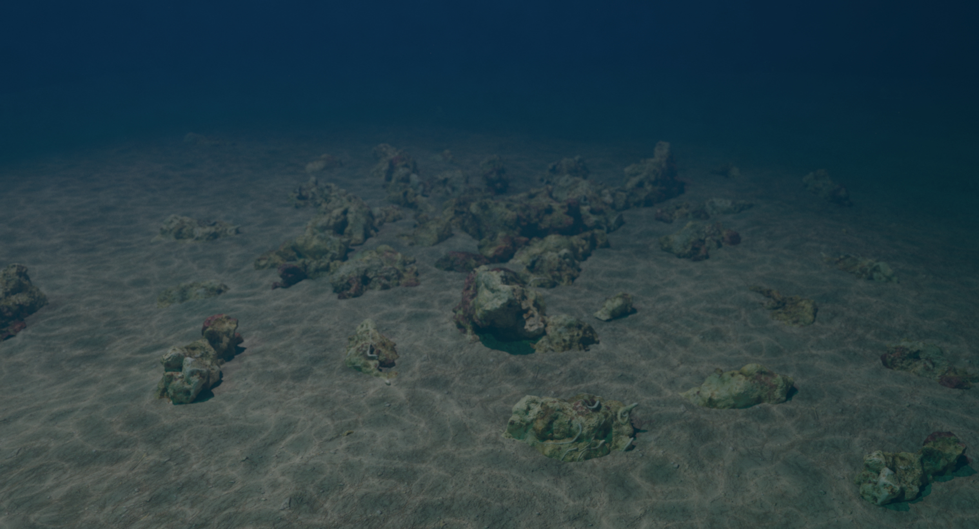 Sea floor 3D model - TurboSquid 1276338