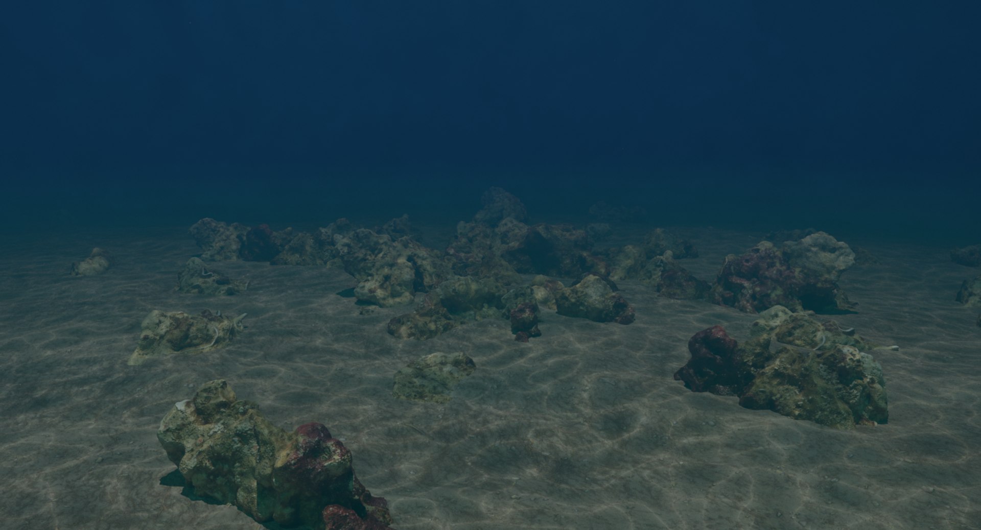 Sea floor 3D model - TurboSquid 1276338