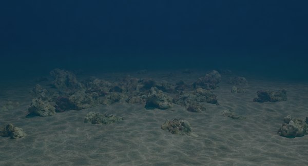 Free 3D Ocean Models | TurboSquid
