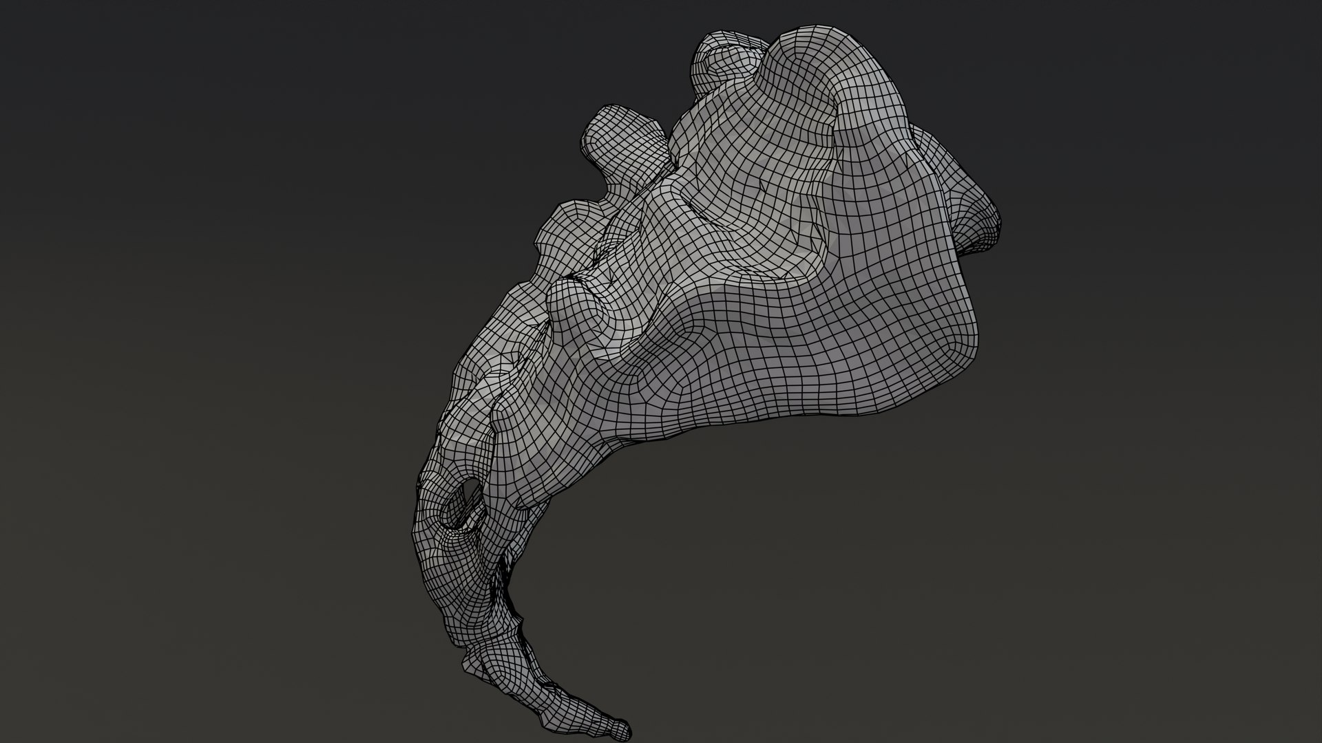 Sacrum - Human Female 3D - TurboSquid 1808363