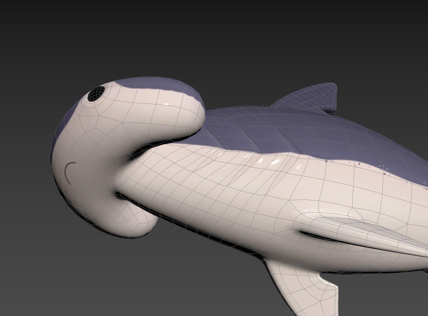 Bonnet Head Shark 3D Model - TurboSquid 1701431