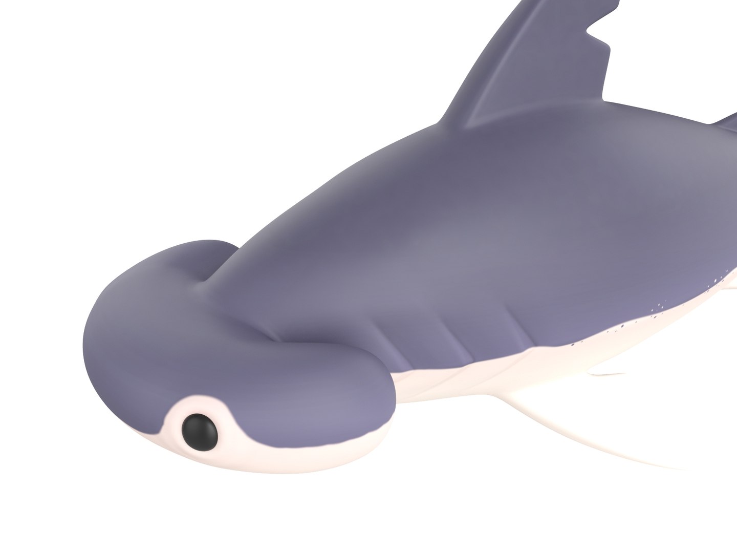 Bonnet Head Shark 3D Model - TurboSquid 1701431