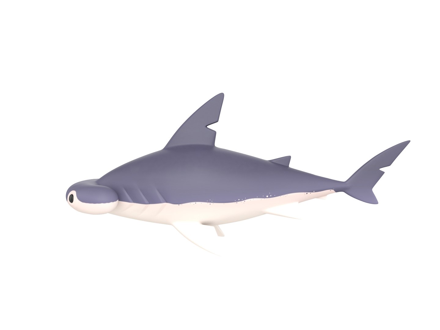 Bonnet Head Shark 3D Model - TurboSquid 1701431