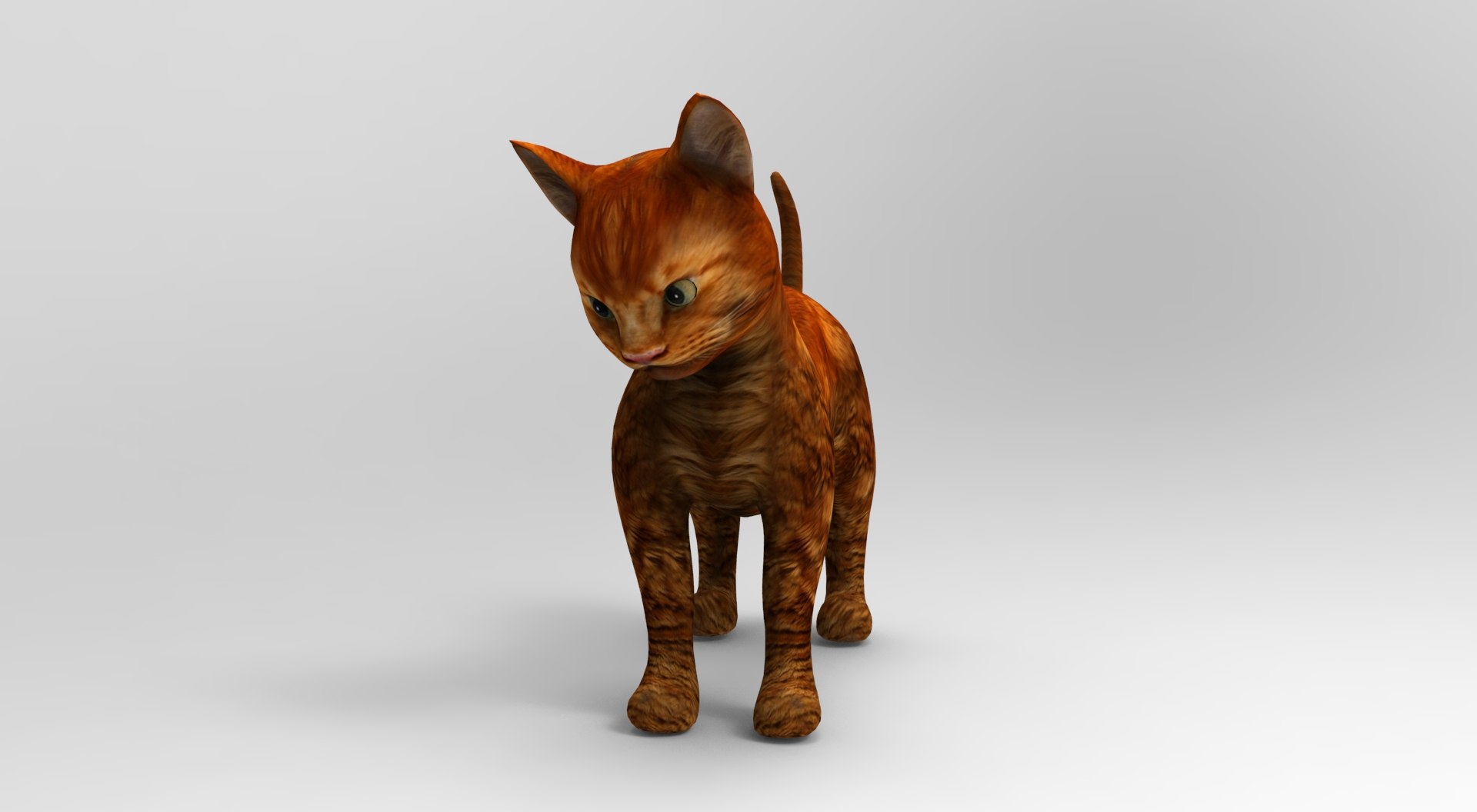 3D Cat Rigged Animation - TurboSquid 1204595