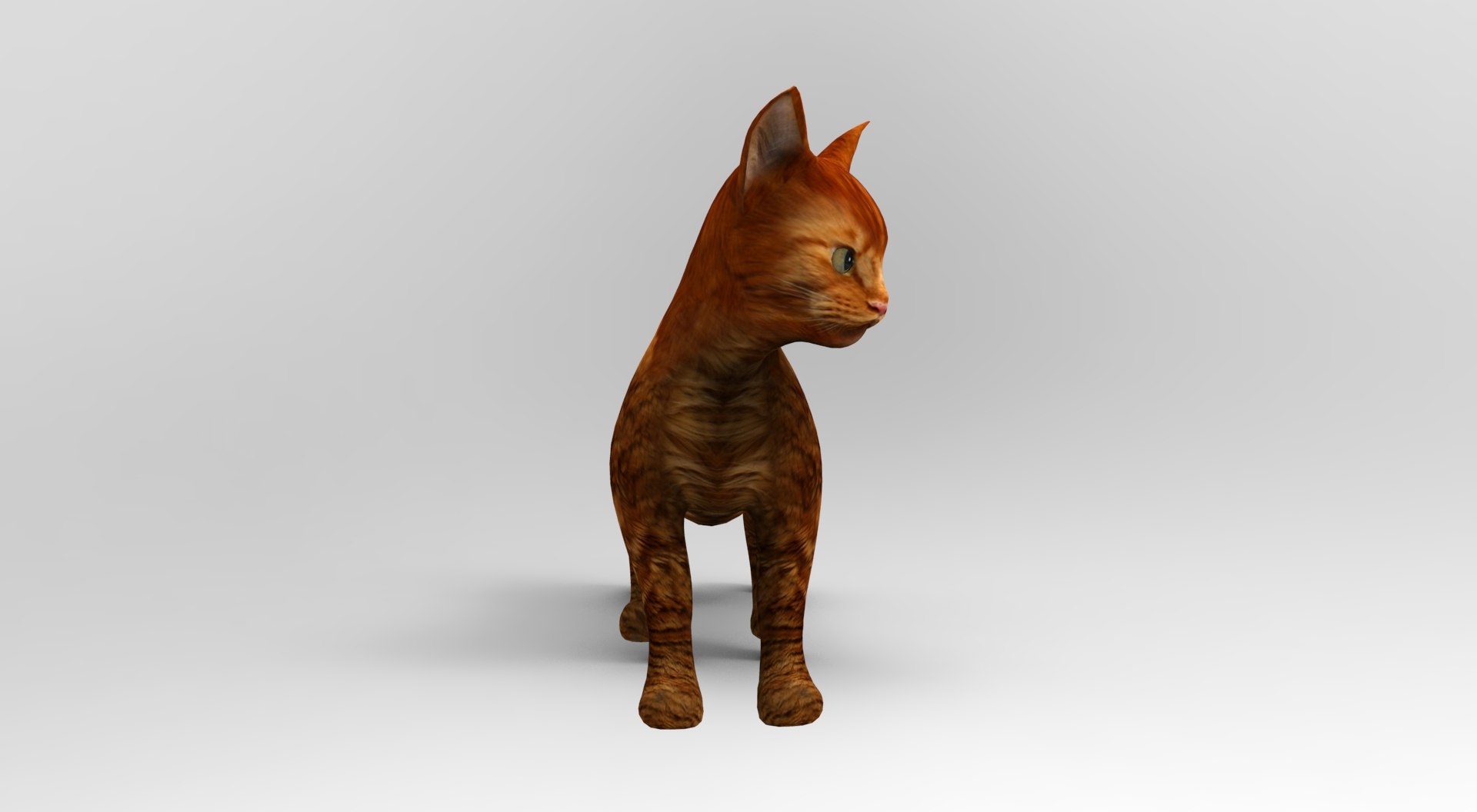 3D Cat Rigged Animation - TurboSquid 1204595
