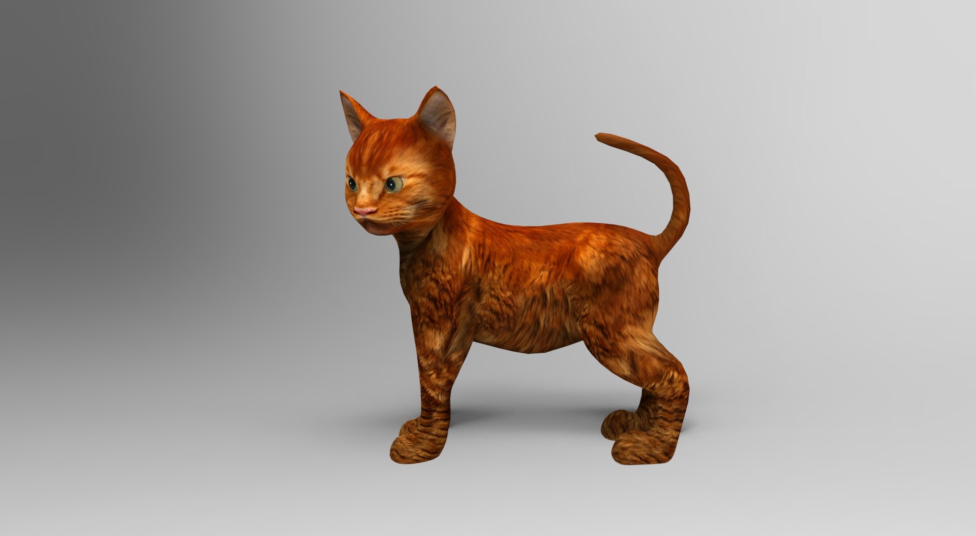 3D Cat Rigged Animation - TurboSquid 1204595