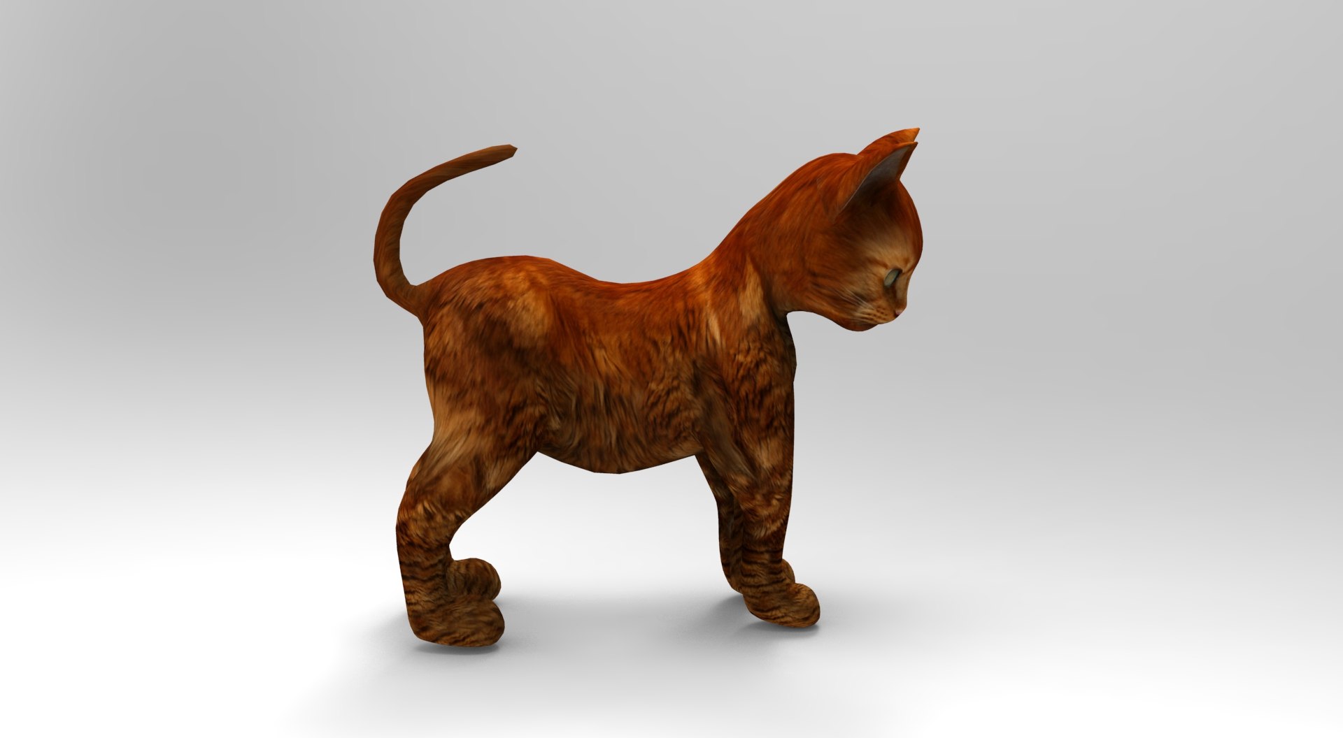 3D Cat Rigged Animation - TurboSquid 1204595