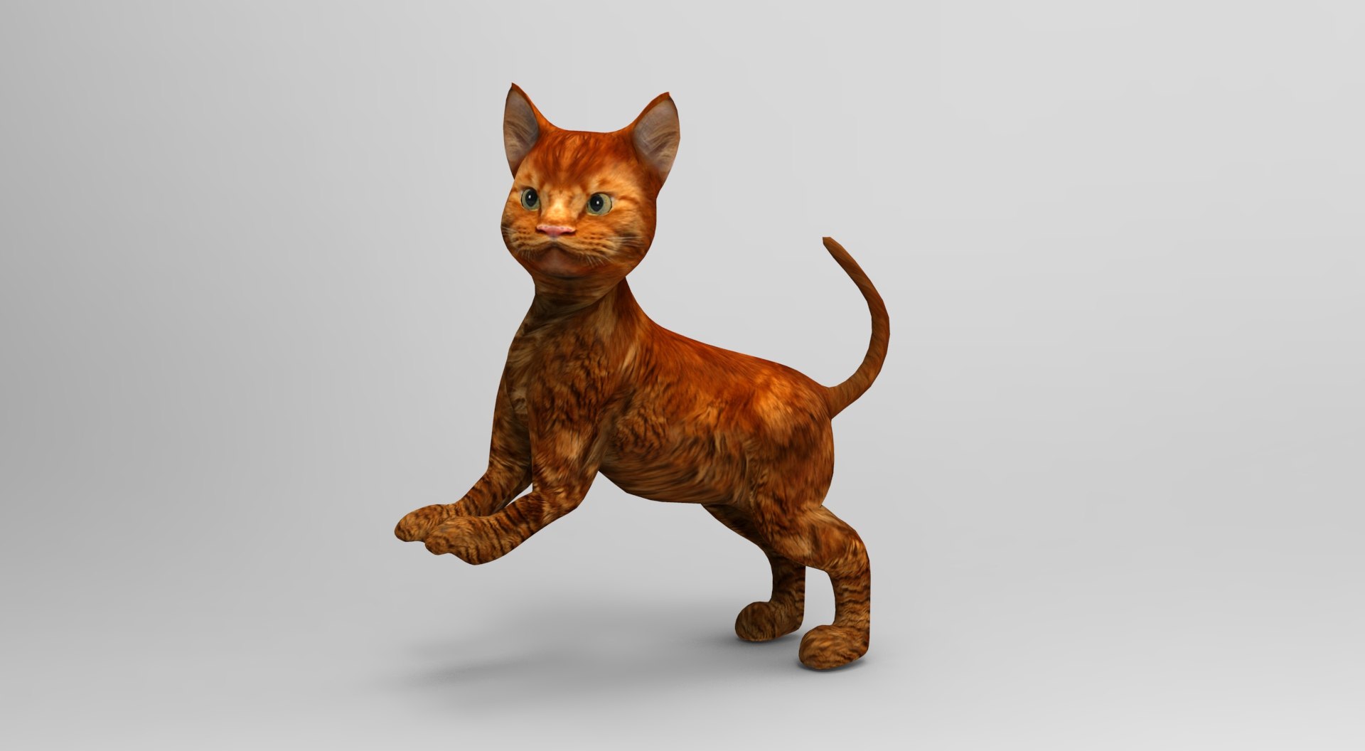 3D Cat Rigged Animation - TurboSquid 1204595