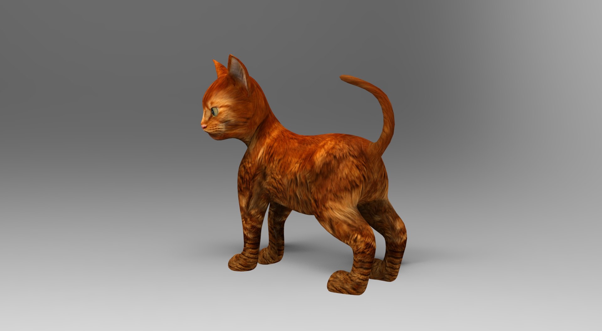 3D Cat Rigged Animation - TurboSquid 1204595