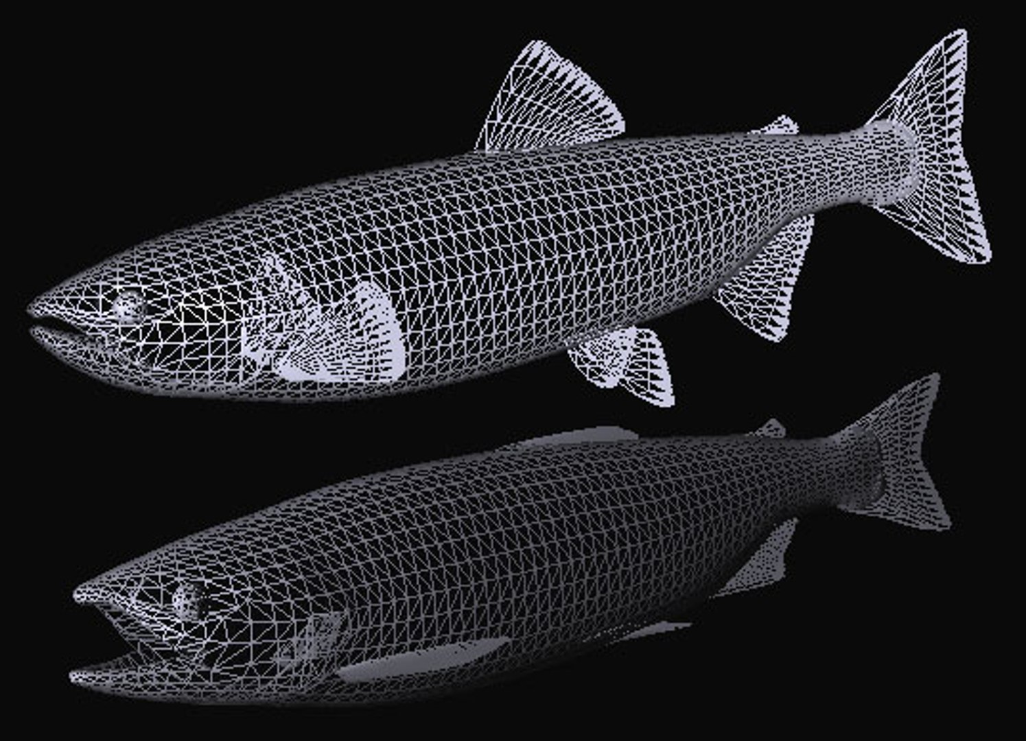 Swimming 3d Model