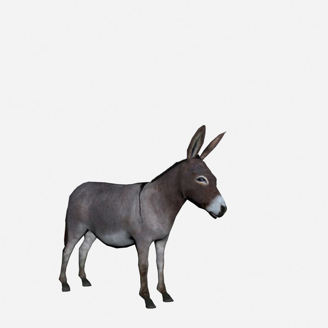 Donkey 3d Max
