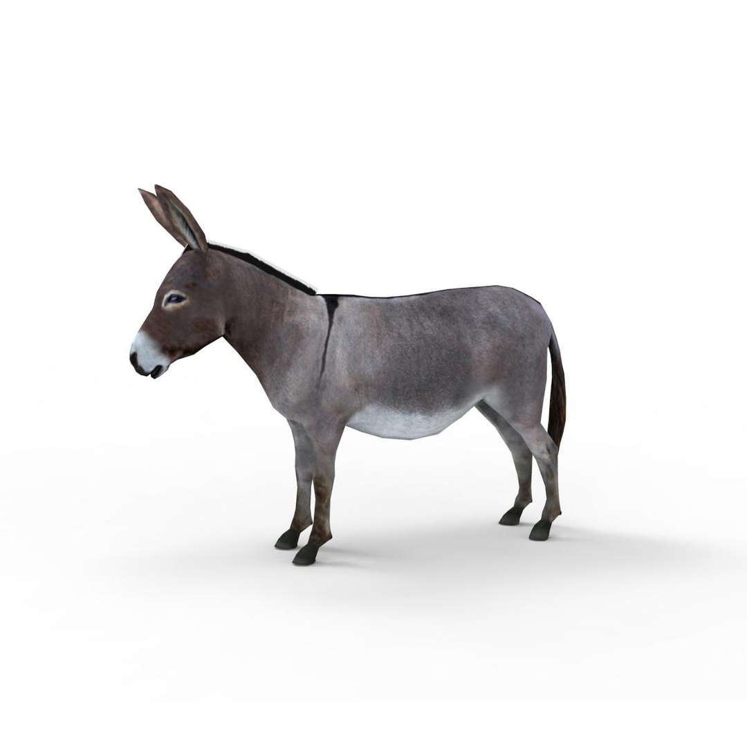 Donkey 3d Max
