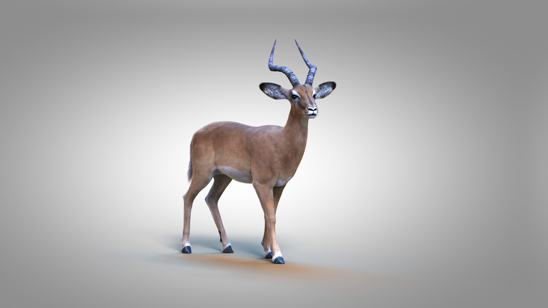 3D Impala RIG Xgen-Core - TurboSquid 2341947