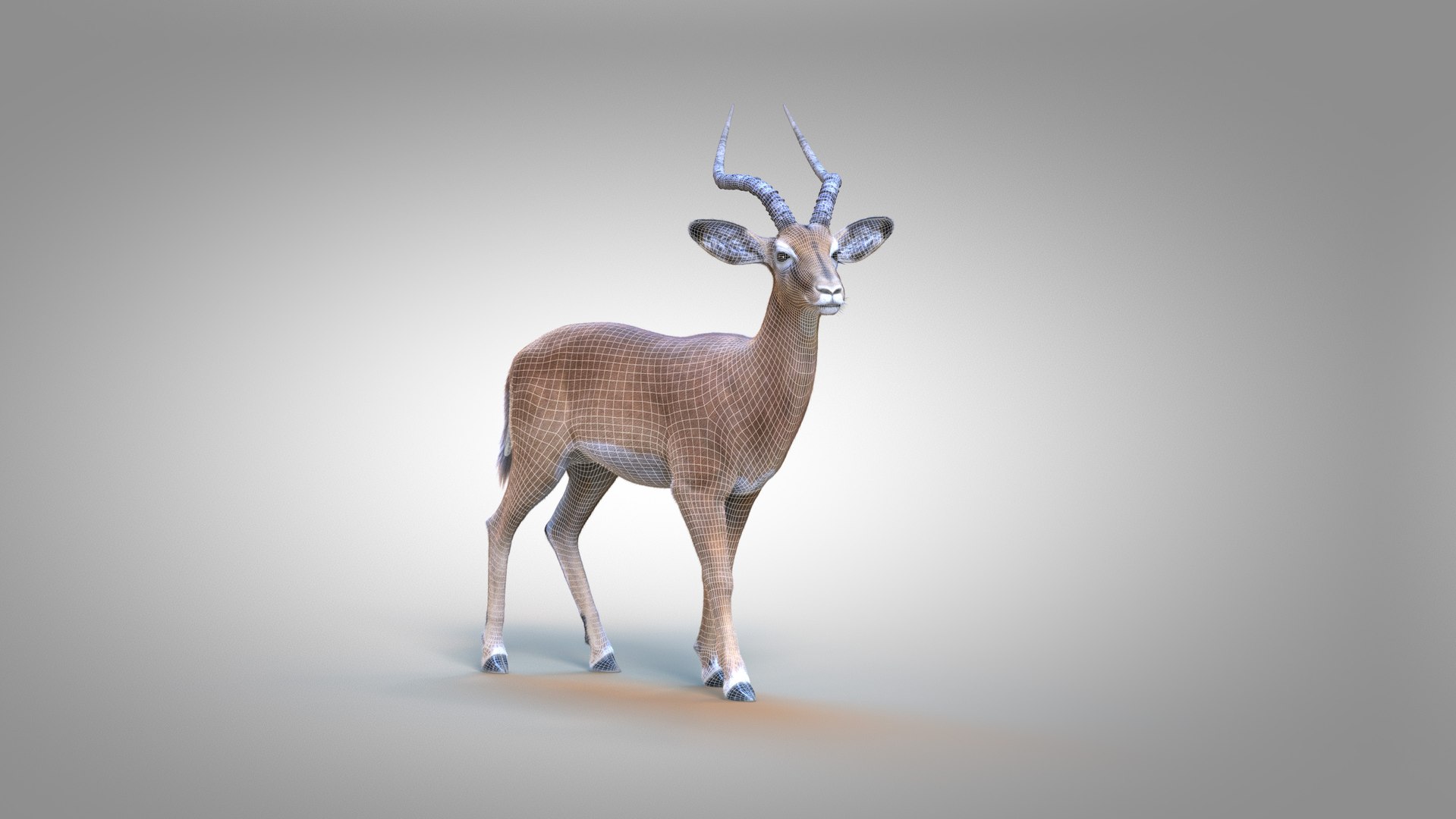 3D Impala RIG Xgen-Core - TurboSquid 2341947