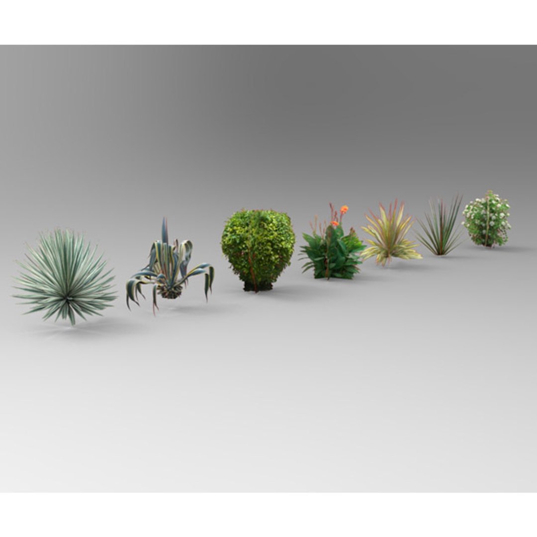 Trees Shrubs Plants 3d Fbx