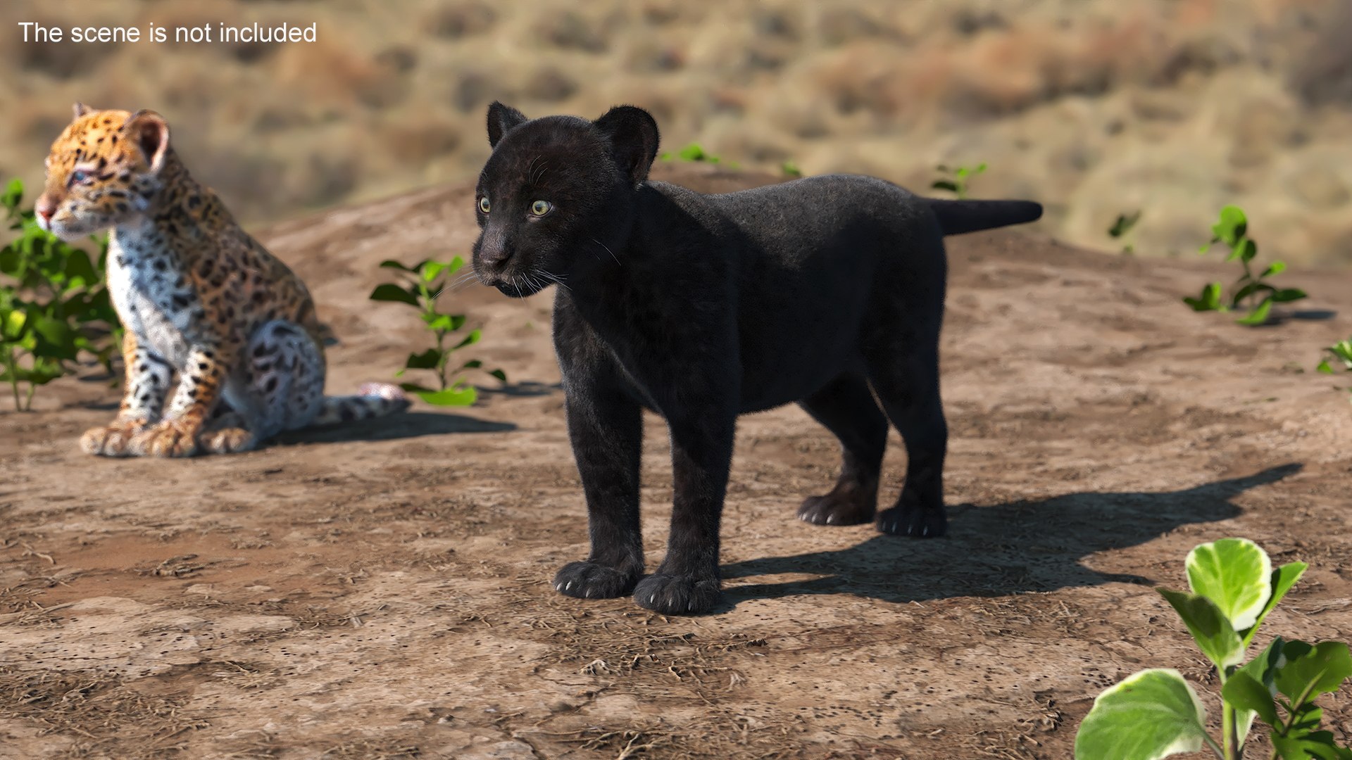 Panther Cub Fur 3D Model - TurboSquid 2335658