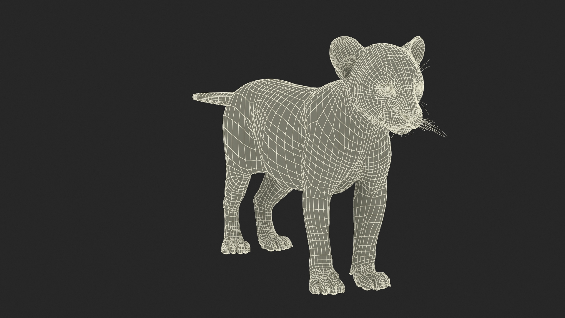 Panther Cub Fur 3D Model - TurboSquid 2335658