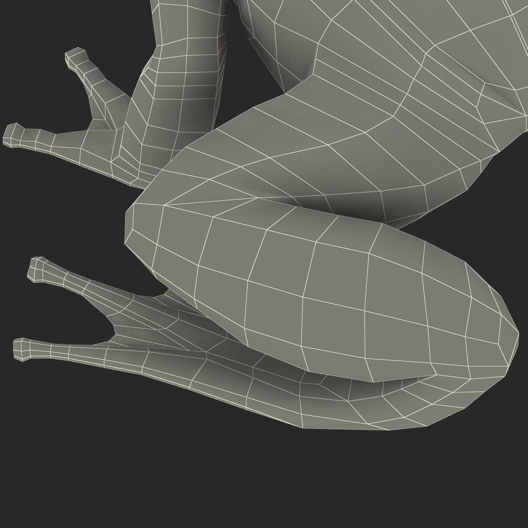 3d model frog modelled