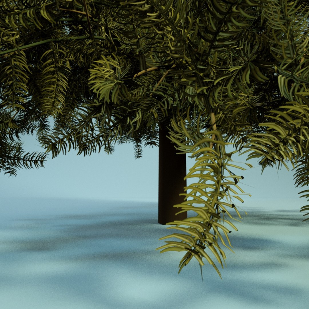 Animation Tree 3d Model