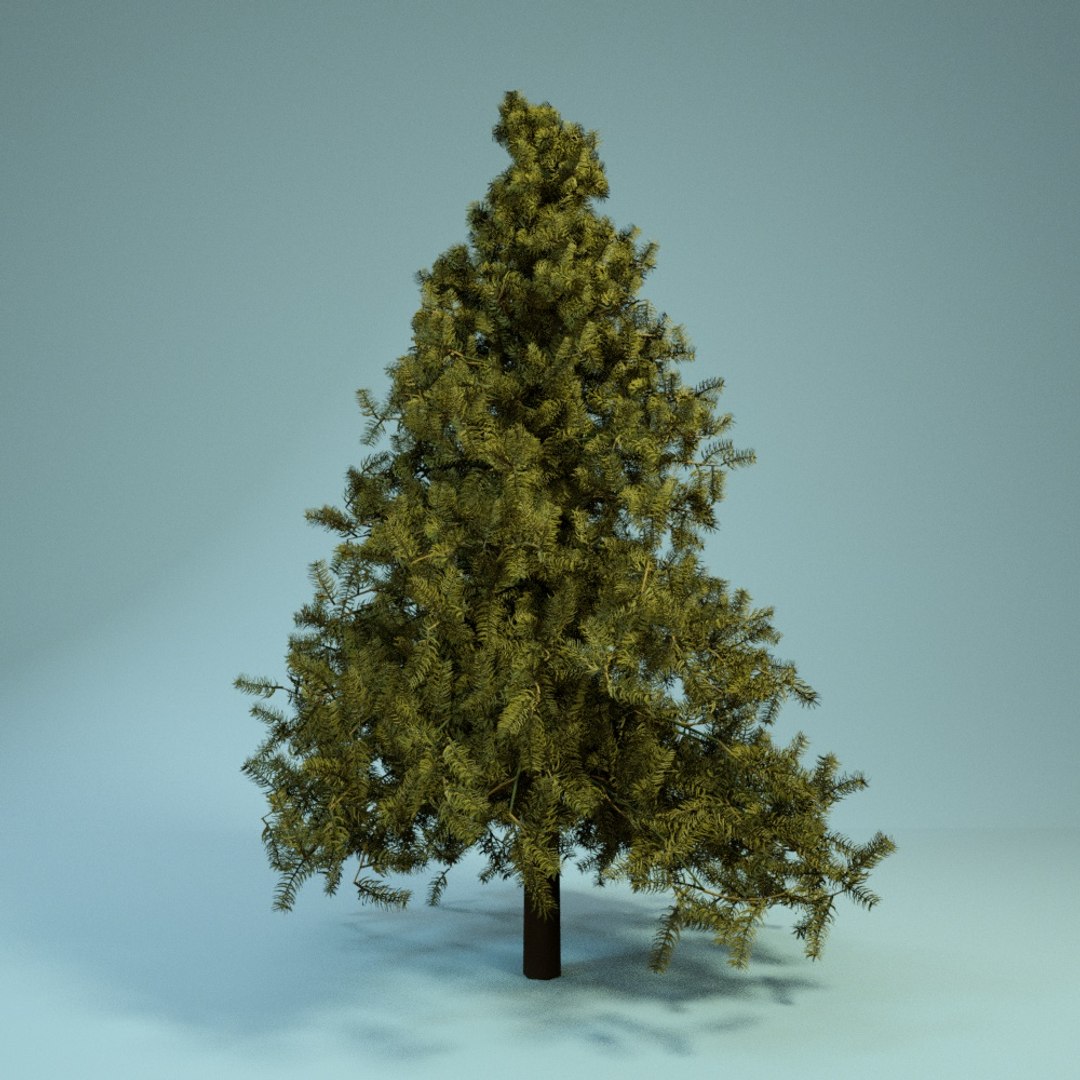 Animation Tree 3d Model
