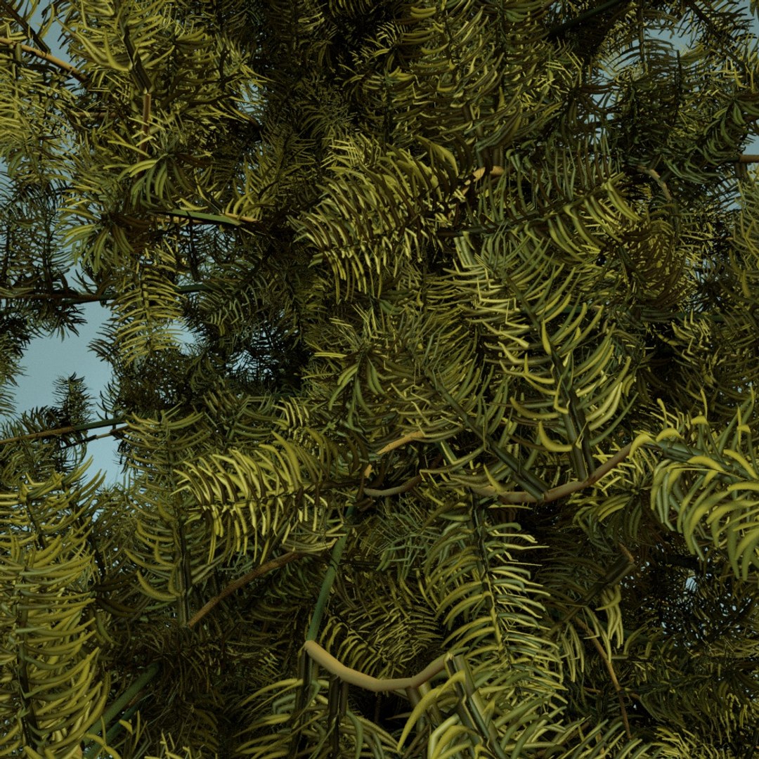 Animation Tree 3d Model