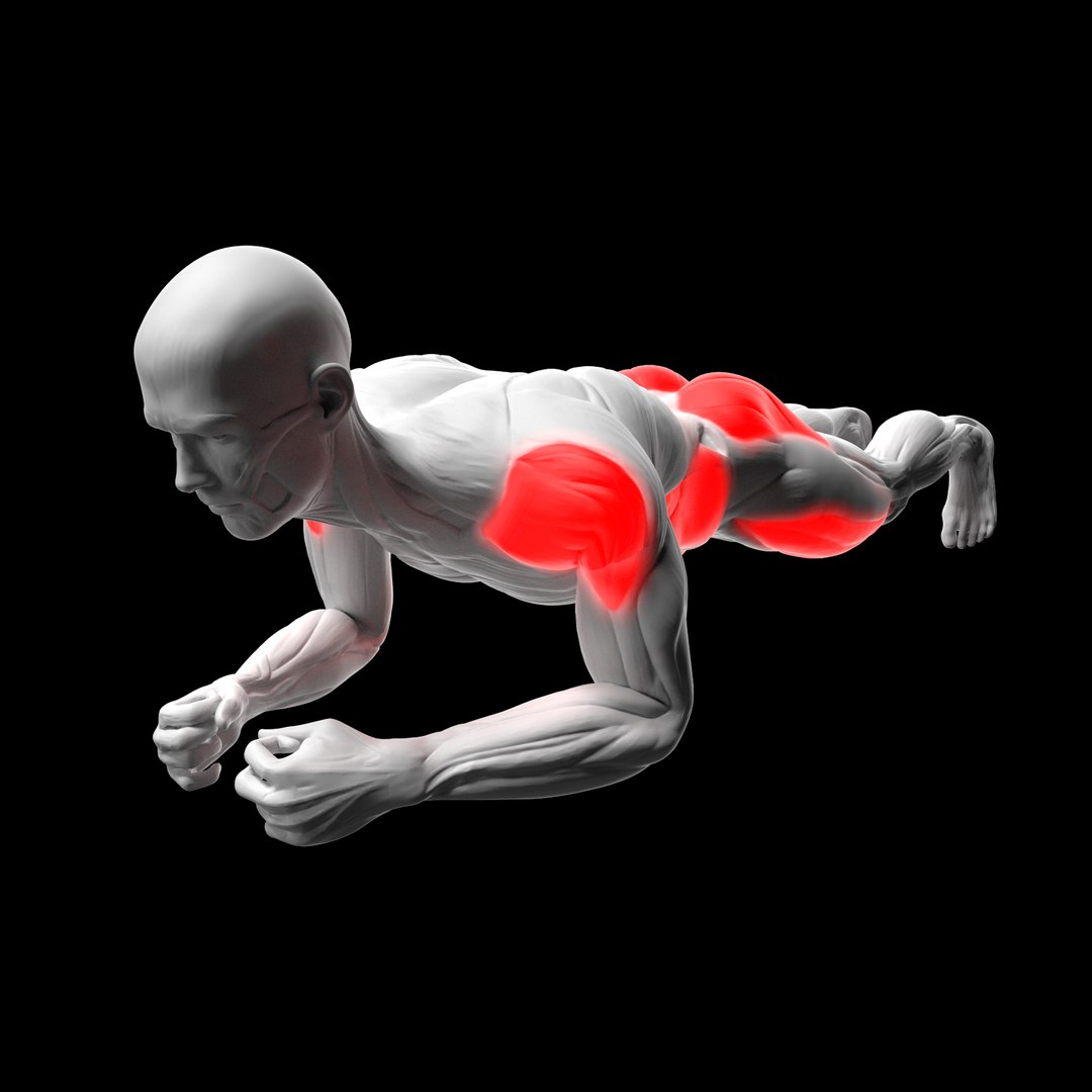 3D Model Abdominal Exercises Pack - Planks - Bicycles - Crunches - Leg ...