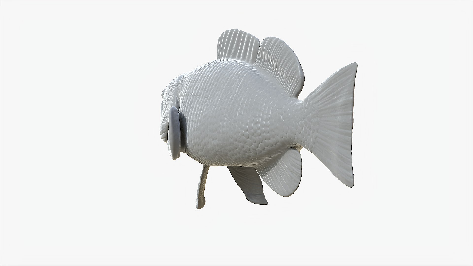 Fish Sculpture 3D Model - TurboSquid 1917661