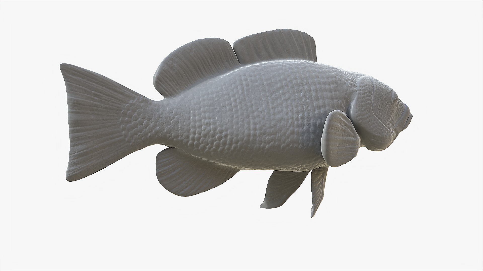 Fish Sculpture 3D Model - TurboSquid 1917661