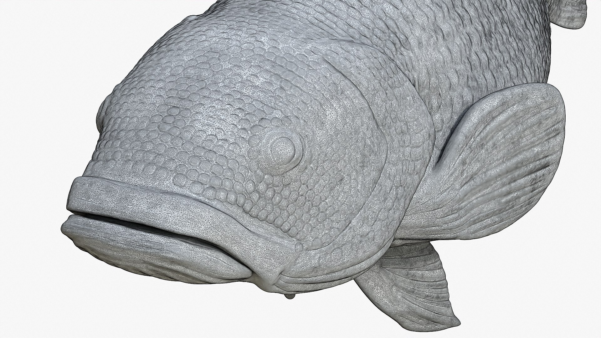 Fish Sculpture 3D Model - TurboSquid 1917661